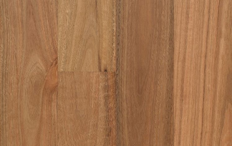 Spotted Gum | Opulence Native flooring range | AST