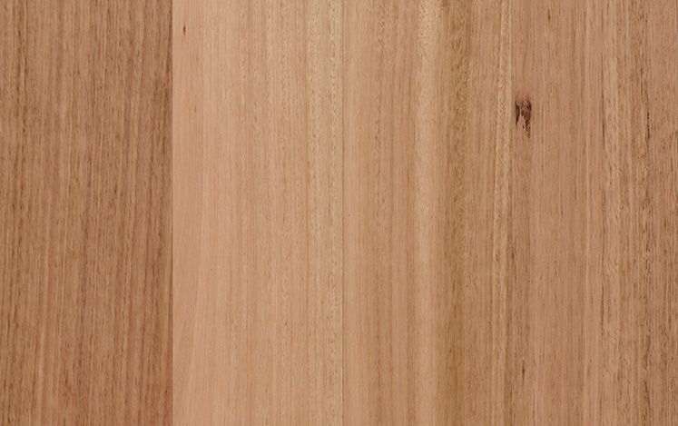 Tasmanian Oak | Australian native engineered flooring | AST