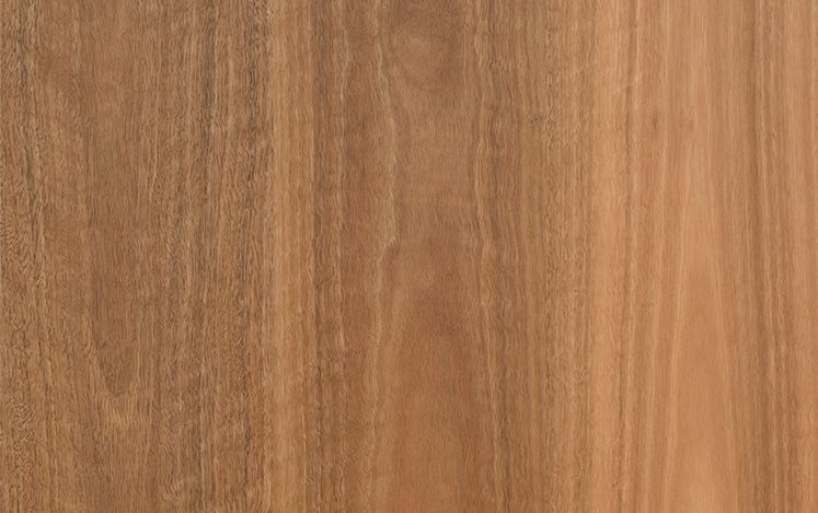 Spotted Gum | Australian species native flooring | AST
