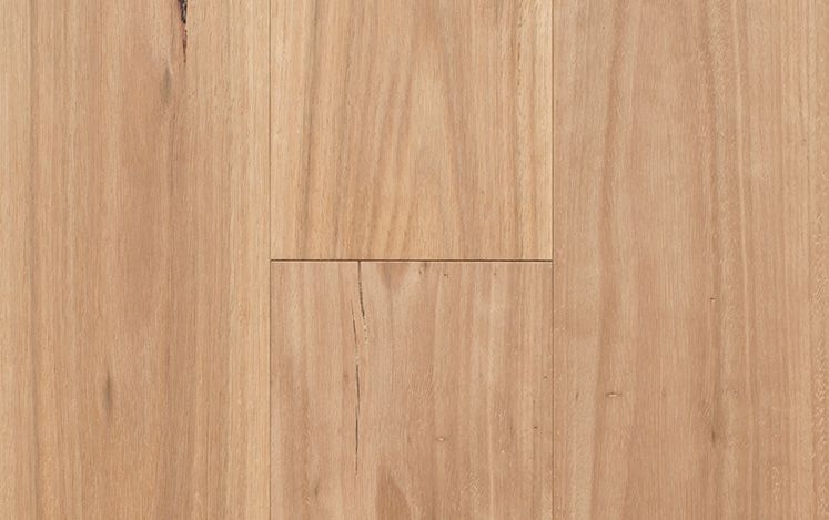 Blackbutt | Native blackbutt flooring | Regency range | AST