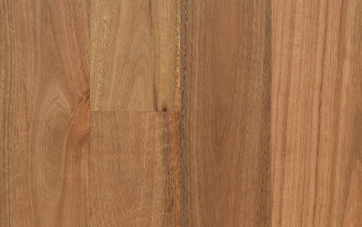 Spotted Gum Opulence Native 136mm Oak Timber Flooring Sale | FloorVenue