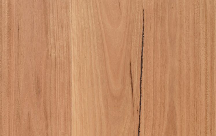 Coastal Blackbutt Opulence Native 180mm Oak Timber Flooring Sale ...